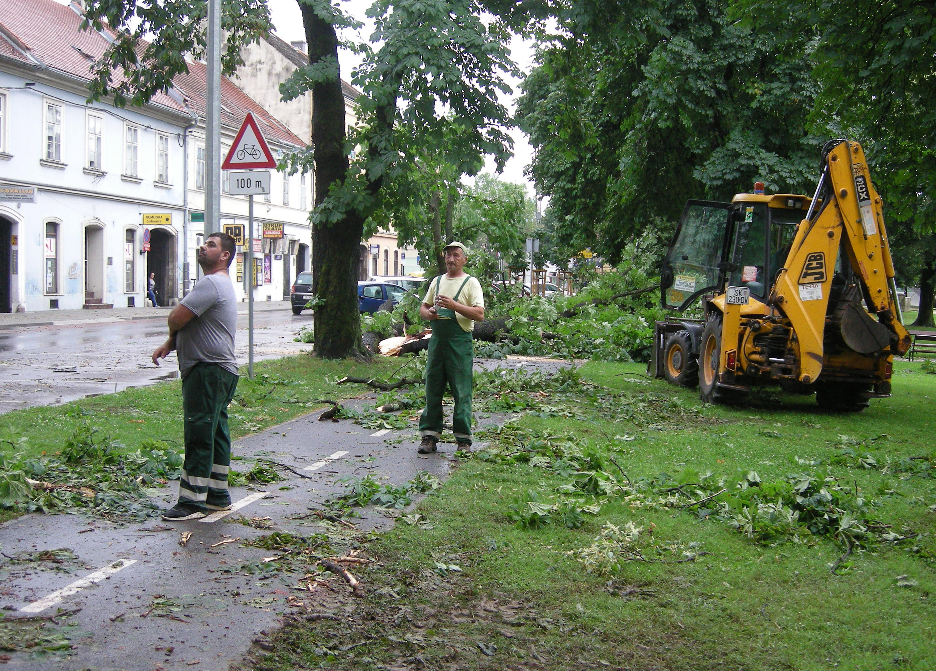 (FOTO) U Sisku olujno nevrijeme rušilo stabla – narod.hr (FOTO) U Sisku olujno nevrijeme rušilo stabla – narod.hr