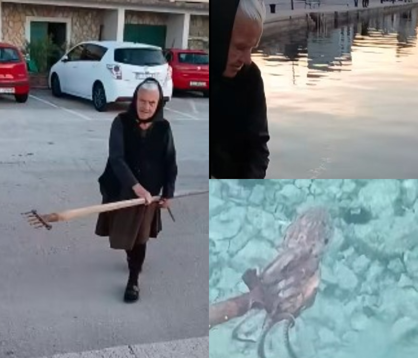 Baka iz Tisnog koja ostima vješto lovi hobotnicu postala viralna, no ...